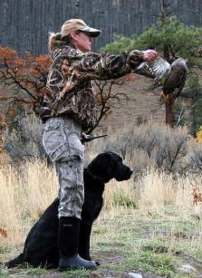 Talented Labrador Retrievers Yakima Washington